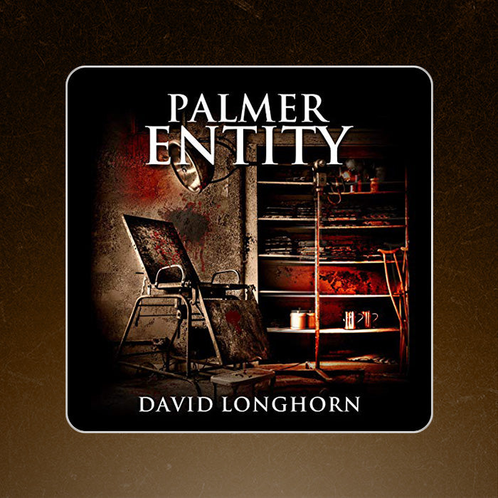 Palmer Entity: Asylum Series Book 2 – Scare Street